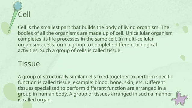 Science Presentation of Biology on Topic "Cell & Tissue" | PPT