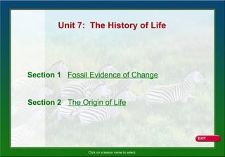 Unit 7 History of Life Notes | PPT