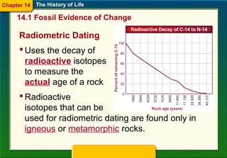 Unit 7 History of Life Notes | PPT