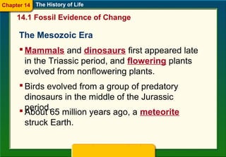 Unit 7 History of Life Notes | PPT