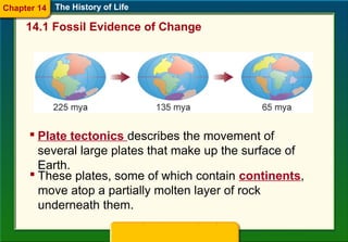 Unit 7 History of Life Notes | PPT