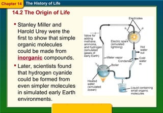 Unit 7 History of Life Notes | PPT