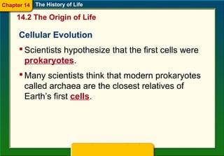 Unit 7 History of Life Notes | PPT