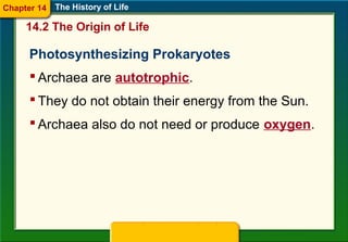 Unit 7 History of Life Notes | PPT