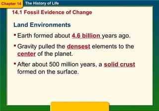 Unit 7 History of Life Notes | PPT