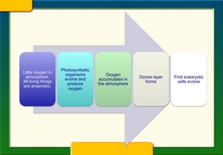 Unit 7 History of Life Notes | PPT