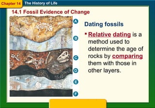 Unit 7 History of Life Notes | PPT