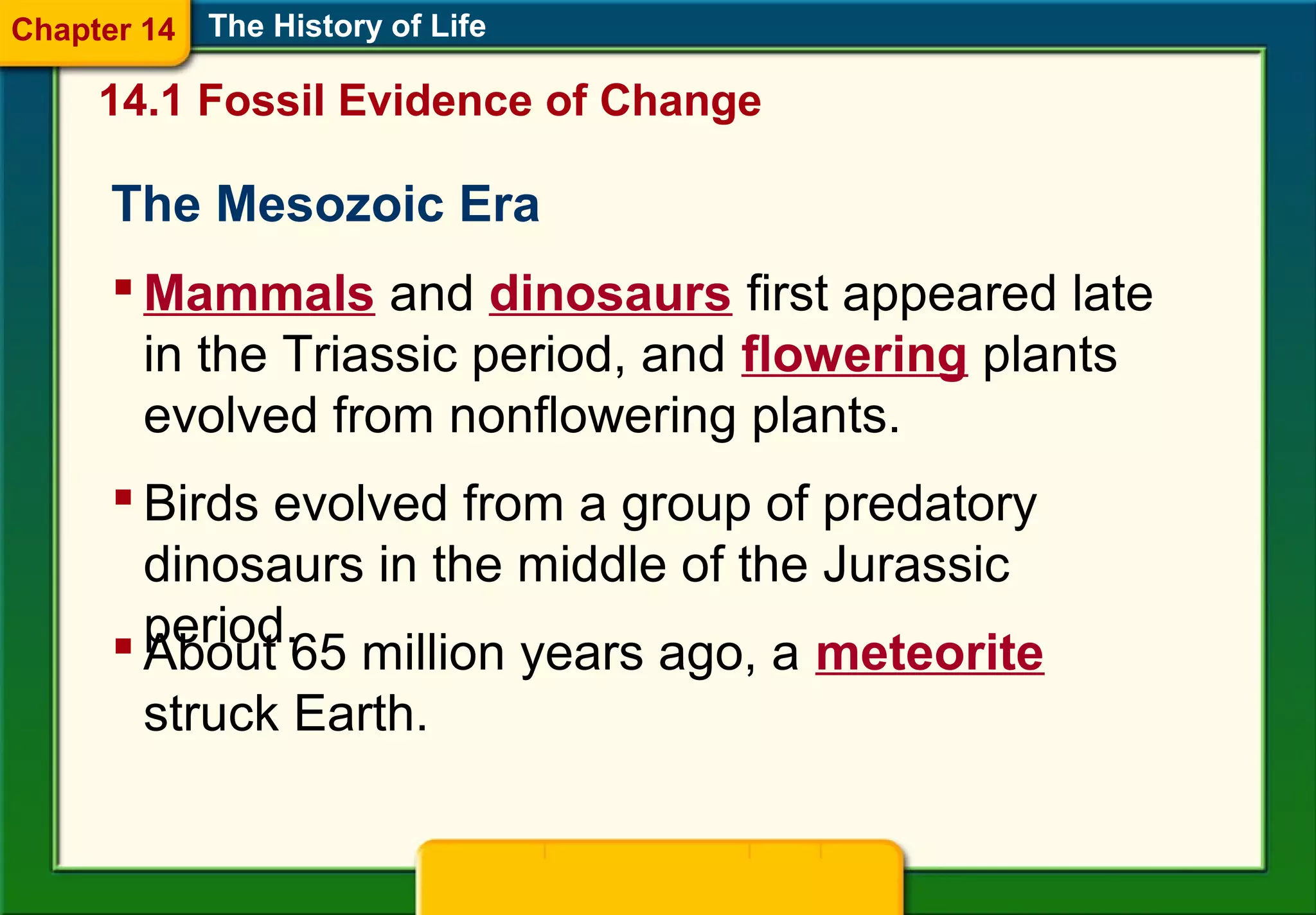 Biology Ch. 14 History of Life | PPT