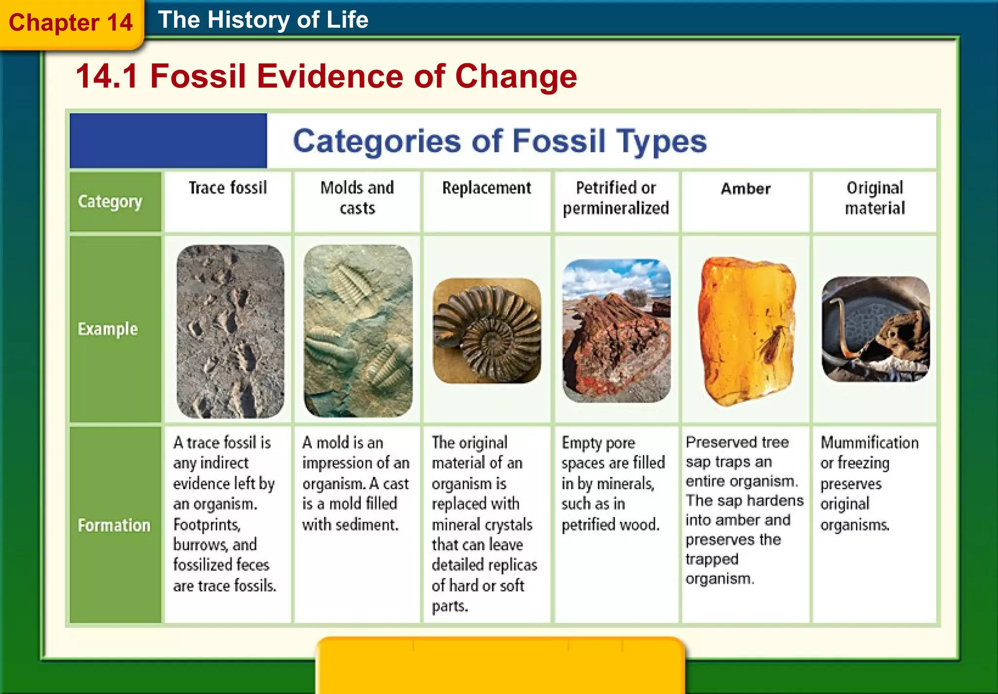 Biology Ch. 14 History of Life | PPT