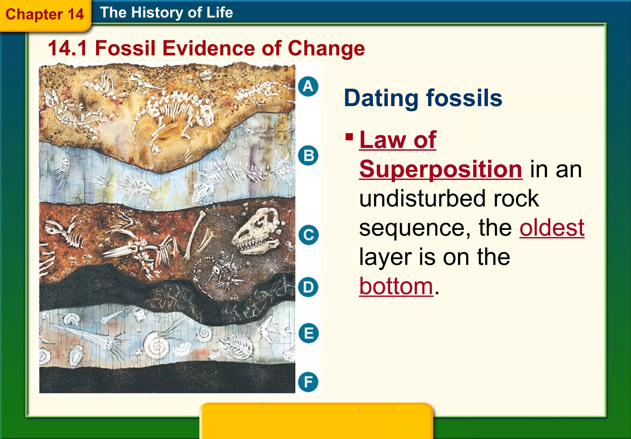 Biology Ch. 14 History of Life | PPT