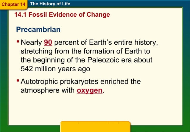 Biology Ch. 14 History of Life | PPT | Biological Sciences | Science