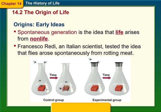 Biology Ch. 14 History of Life | PPT | Biological Sciences | Science