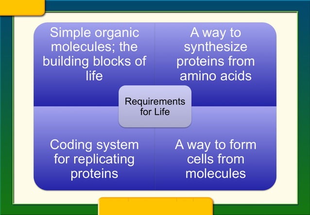 Biology Ch. 14 History of Life | PPT | Biological Sciences | Science
