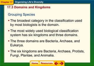 Biology Ch. 17.ppt. Materi pokok, bahan pembelajaran | PPT