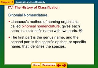 Biology Ch. 17.ppt. Materi pokok, bahan pembelajaran | PPT
