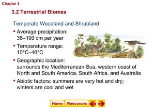 Chapter 3: Biomes and Ecosystems | PPT | Weather | Science