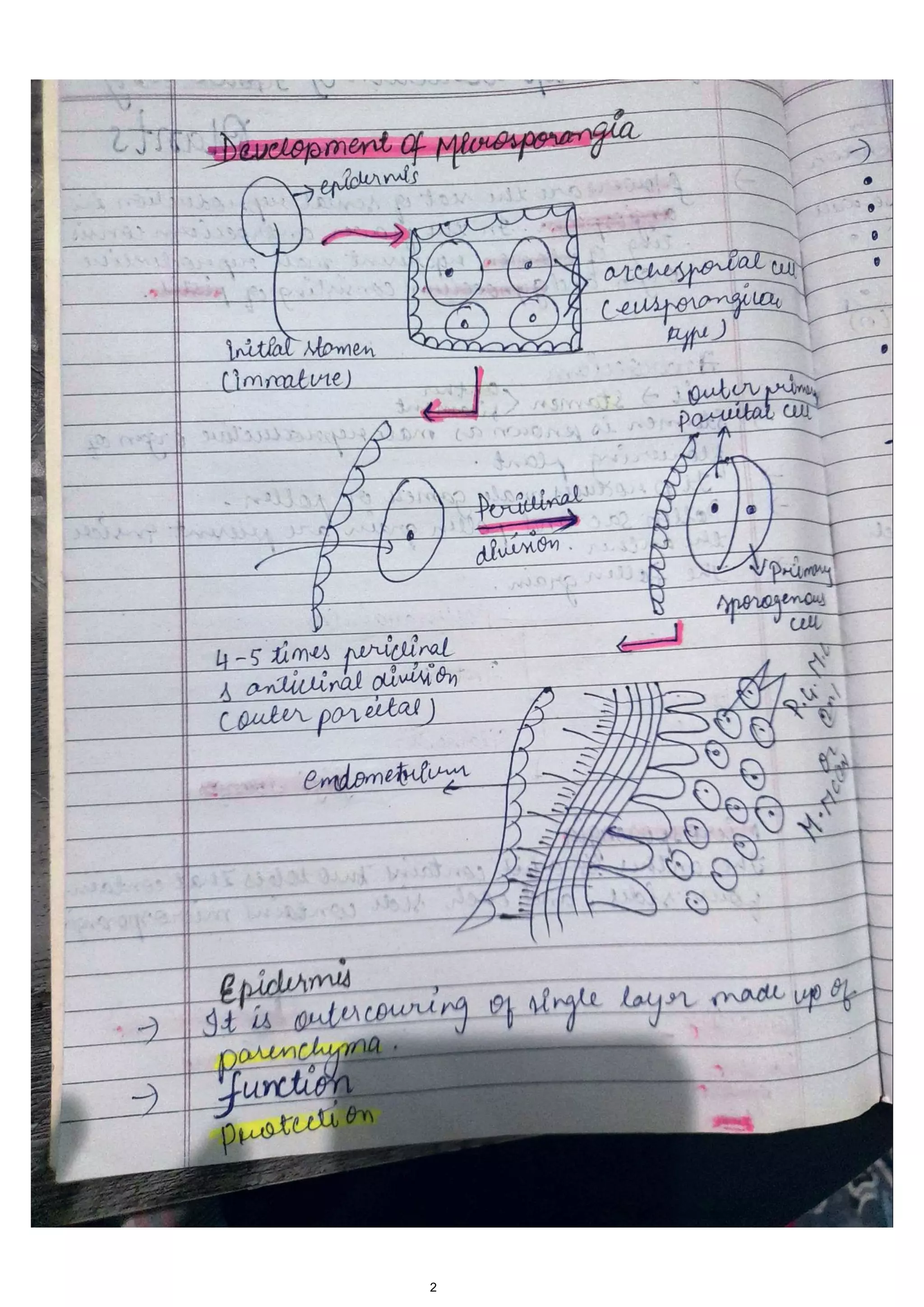 Sexual Reproduction in Flowering Plants Ch -2 Notes Class 12 Biology | PDF