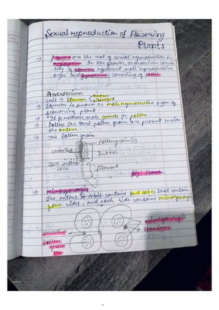 Sexual Reproduction in Flowering Plants Ch -2 Notes Class 12 Biology | PDF