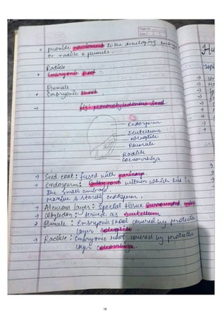 Sexual Reproduction in Flowering Plants Ch -2 Notes Class 12 Biology | PDF