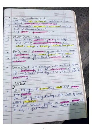 Sexual Reproduction in Flowering Plants Ch -2 Notes Class 12 Biology | PDF