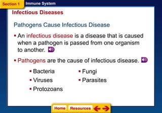 Biology Ch37 (1).ppt