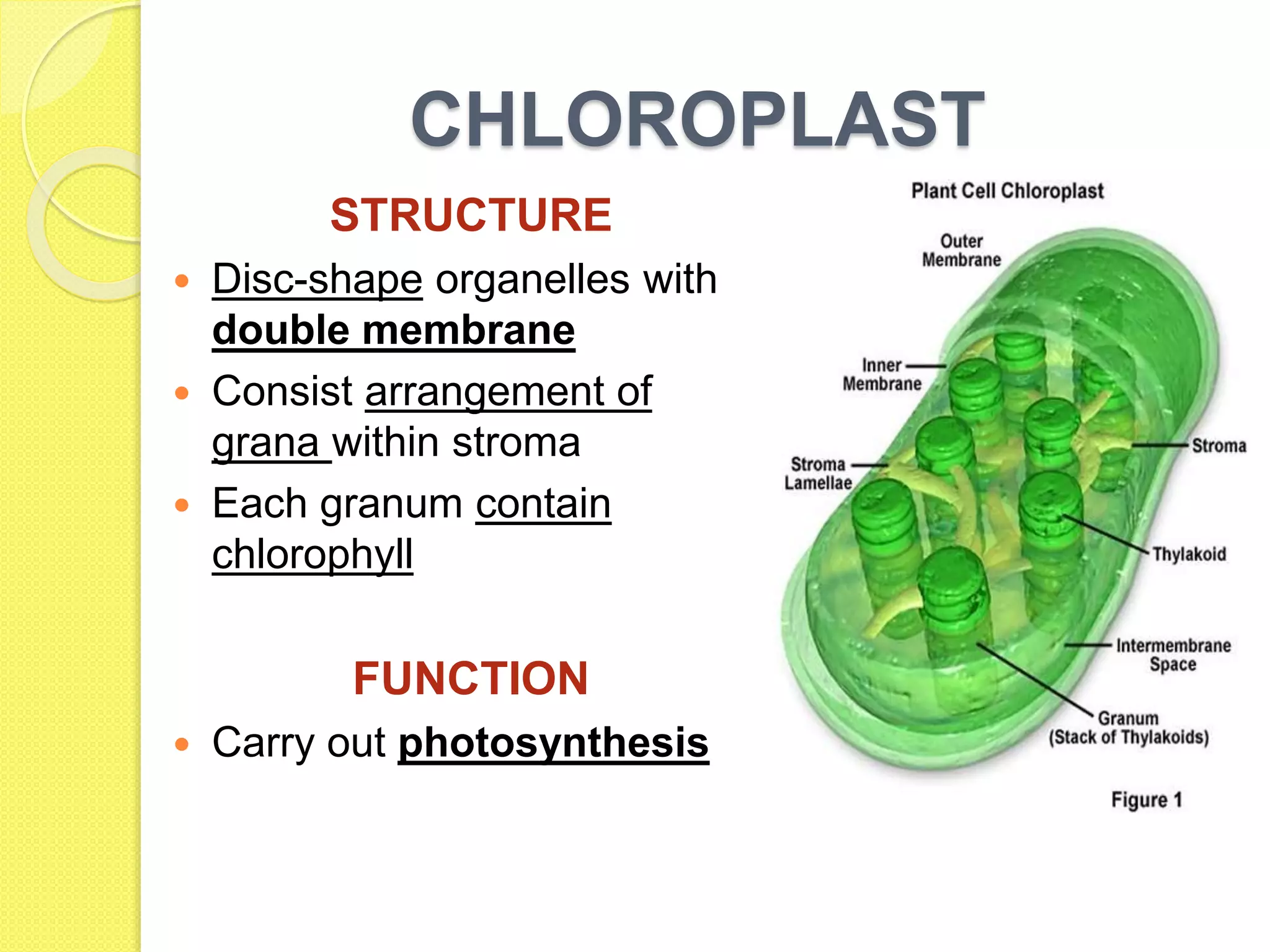 Biology chapter 2 | PPTX