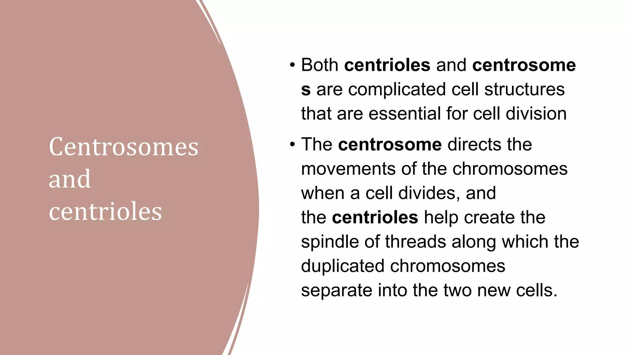 Biology chapter 2 | PPTX