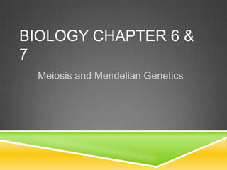 Biology chapter 6 & 7 | PPT