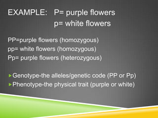 Biology chapter 6 & 7 | PPTX