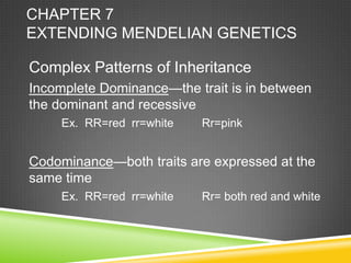 Biology chapter 6 & 7 | PPT