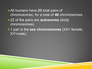Biology chapter 6 & 7 | PPT