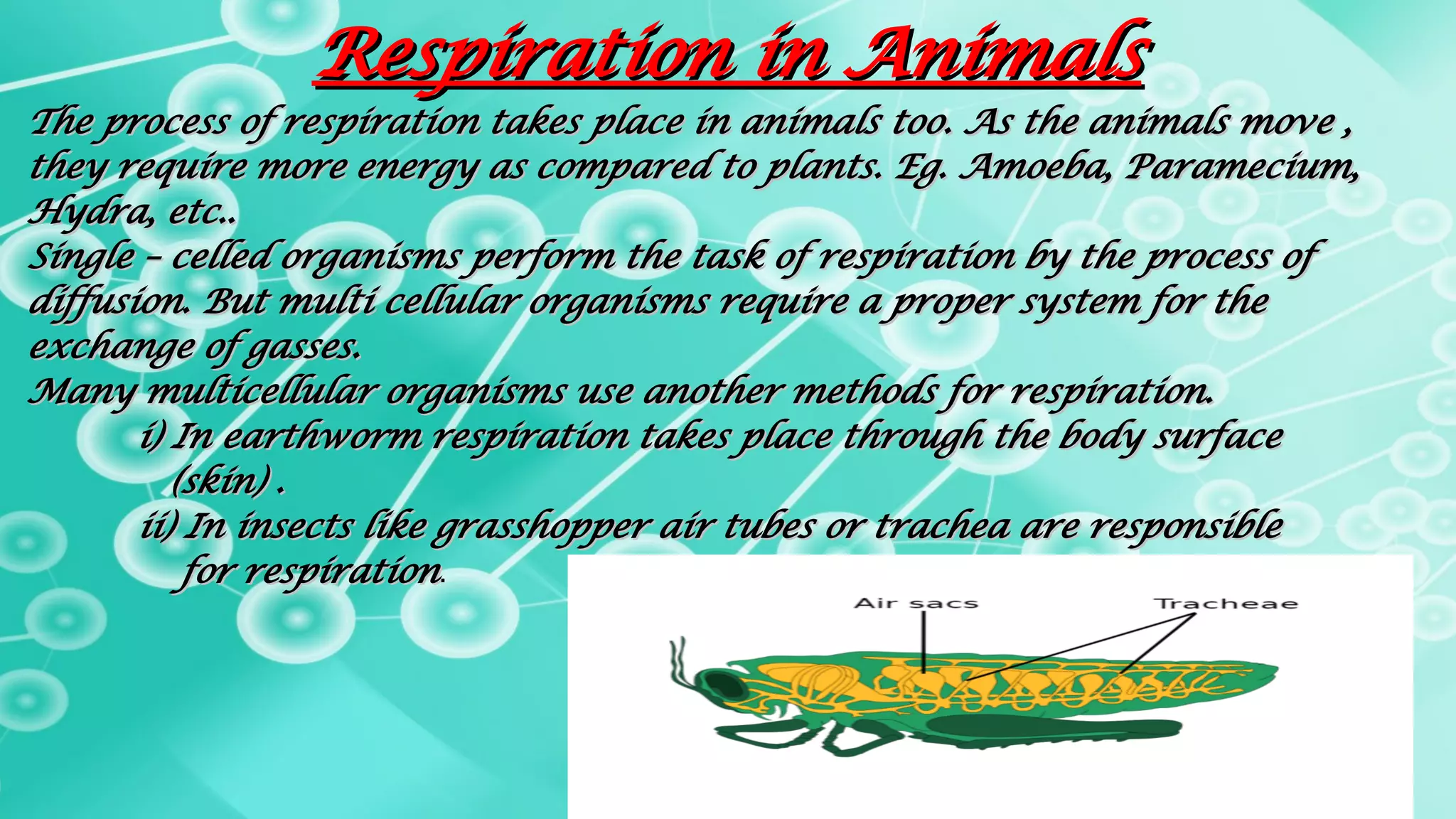 Respiration Class 10 | PDF