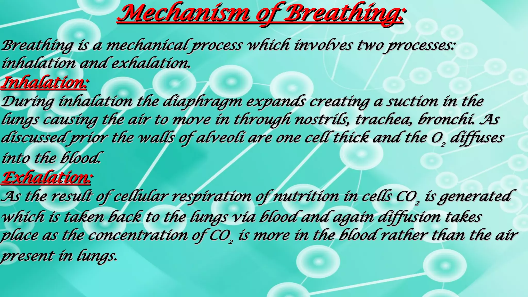 Respiration Class 10 | PDF