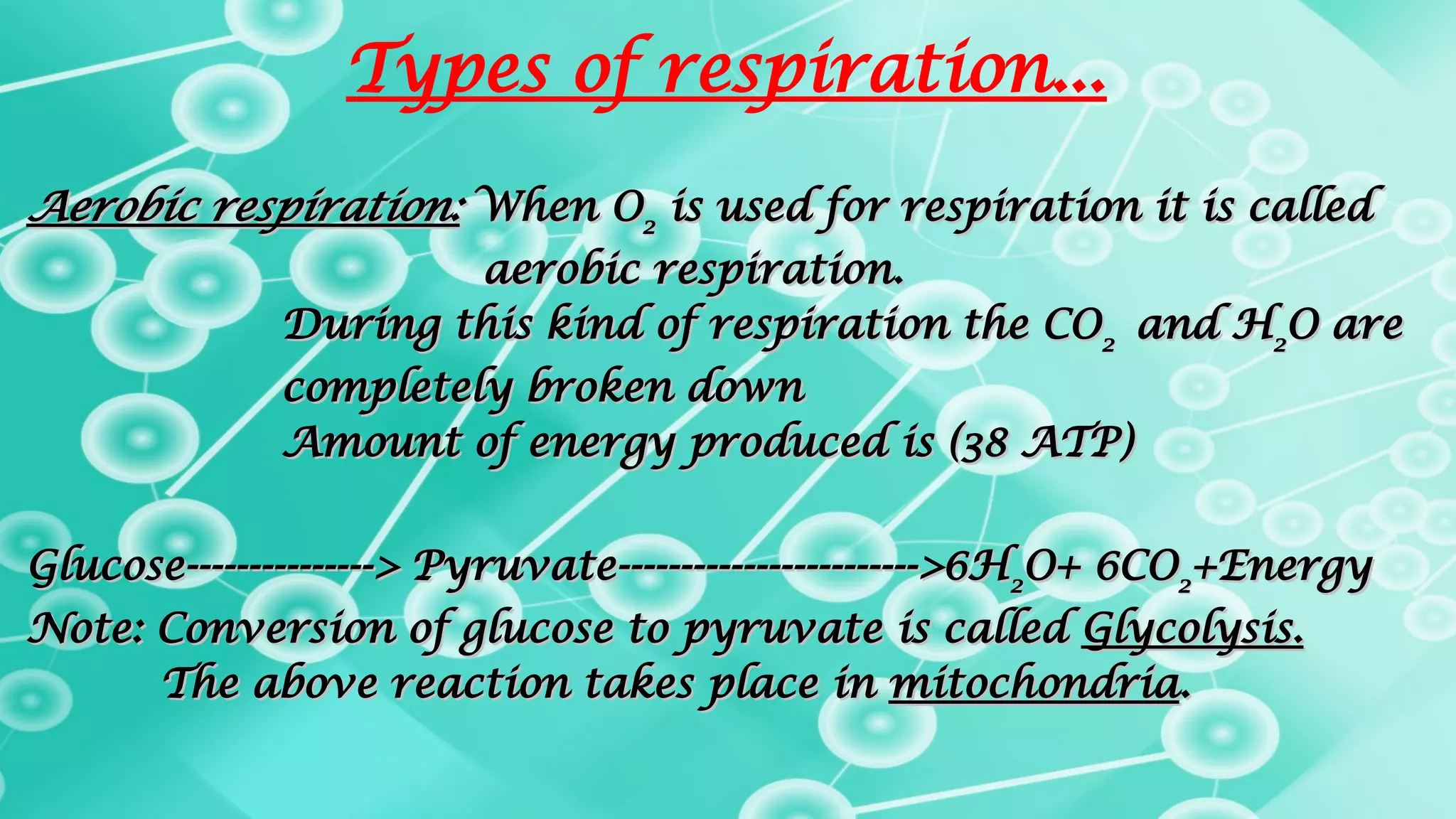 Respiration Class 10 | PDF