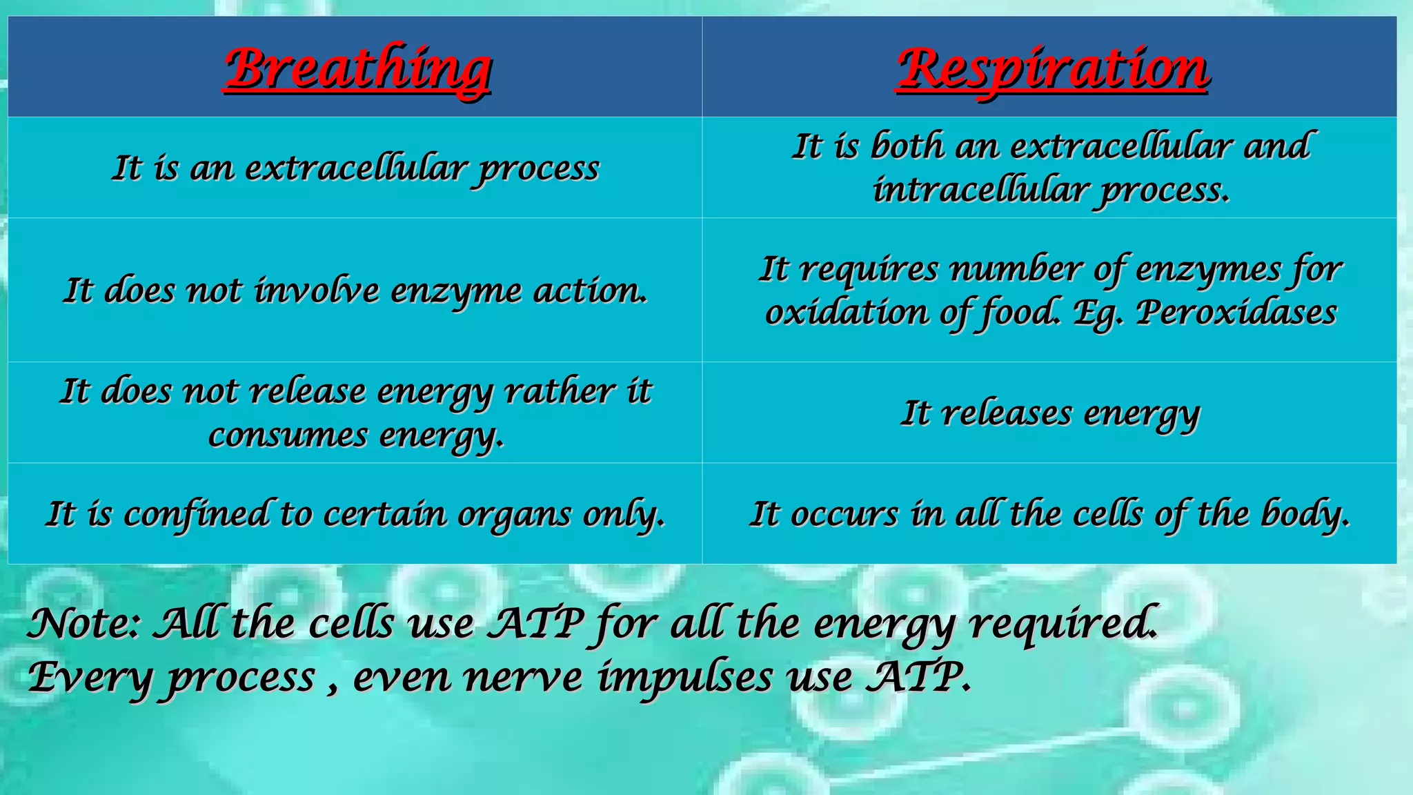 Respiration Class 10 | PDF