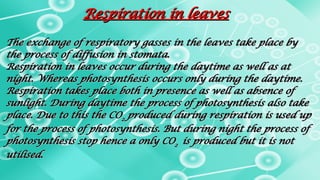 Respiration Class 10 | PDF