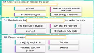 Respiration Class 10 | PDF