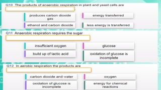 Respiration Class 10 | PDF