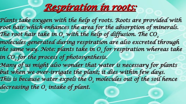 Respiration Class 10 | PDF