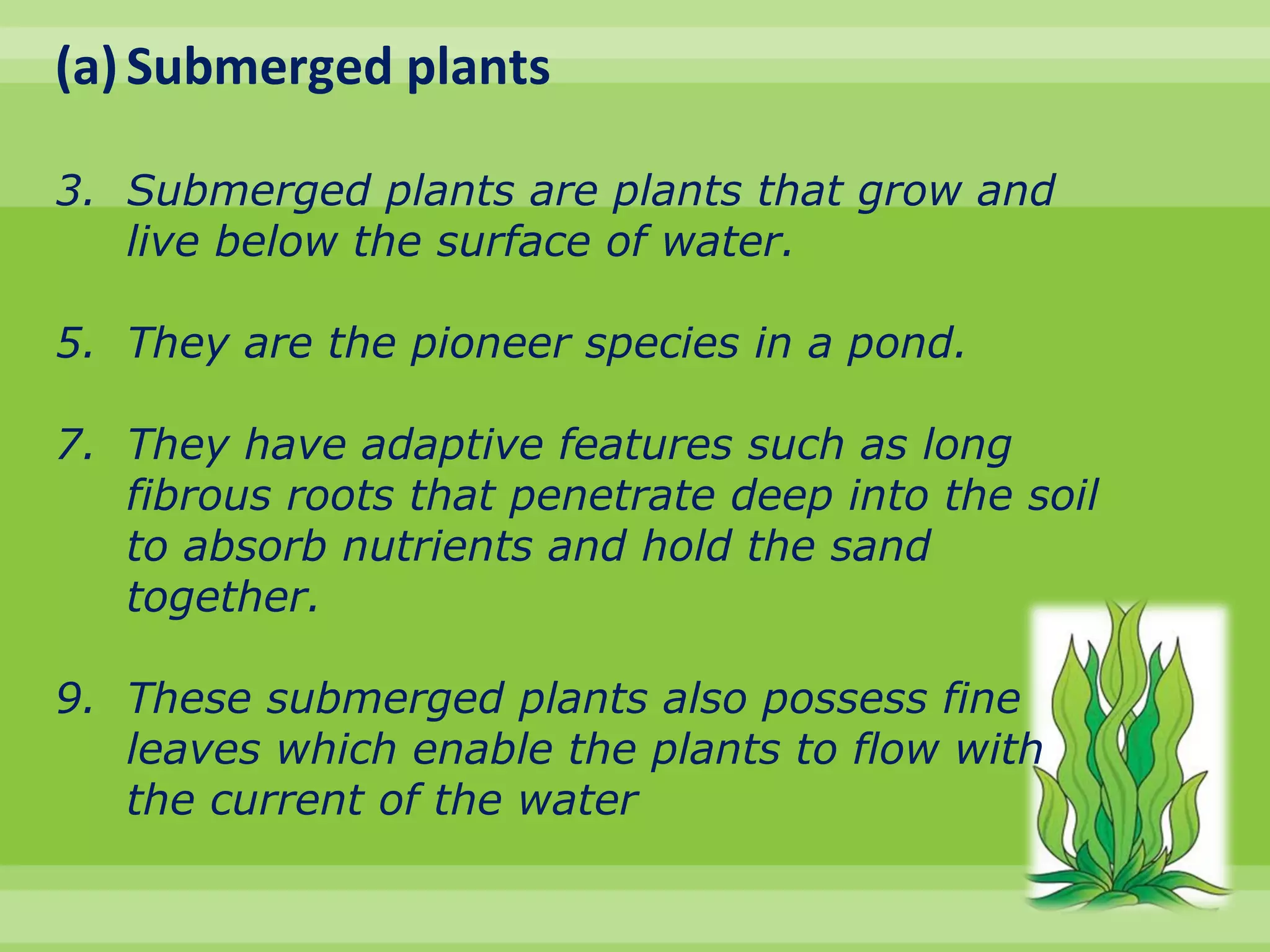 Biology chapter 8 colonisation and succession in a pond | PPT