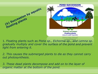 Biology chapter 8 colonisation and succession in a pond | PPT