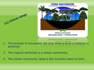 Biology chapter 8 colonisation and succession in a pond | PPT