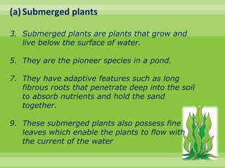 Biology chapter 8 colonisation and succession in a pond | PPT
