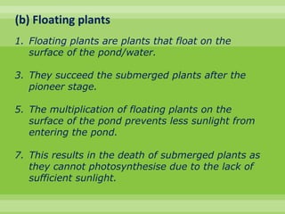 Biology chapter 8 colonisation and succession in a pond | PPT