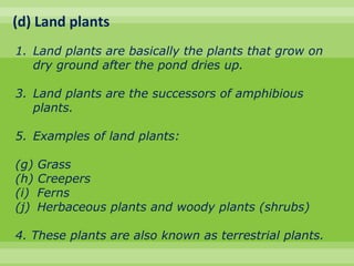 Biology chapter 8 colonisation and succession in a pond | PPT