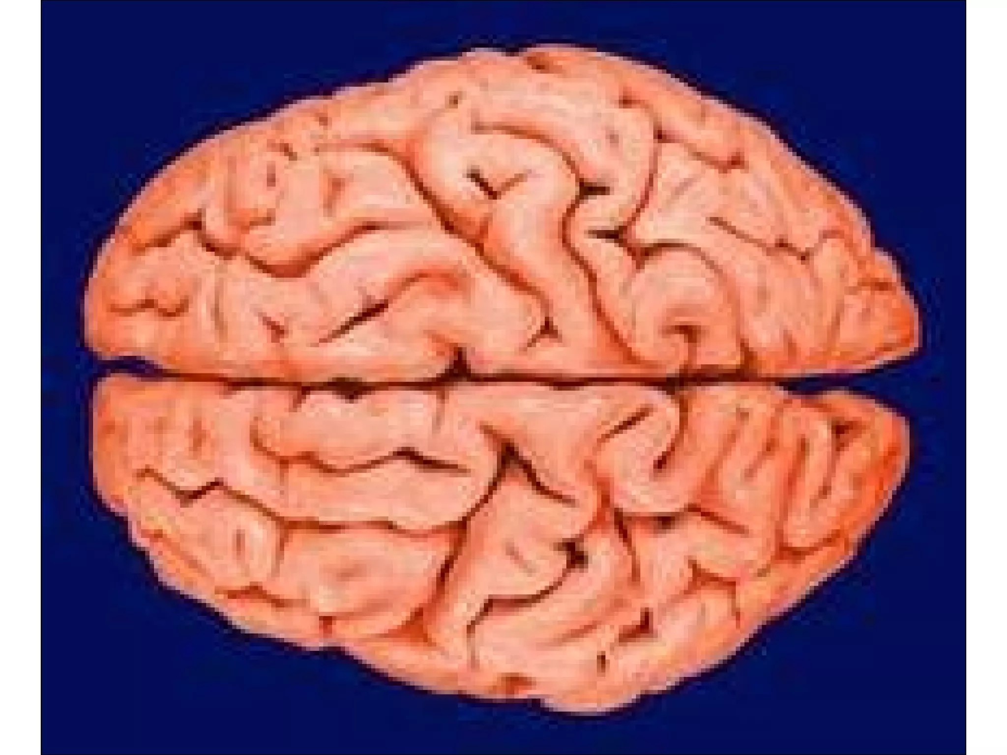 Biology charts | PPT