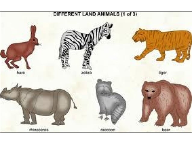 Biology charts | PPT