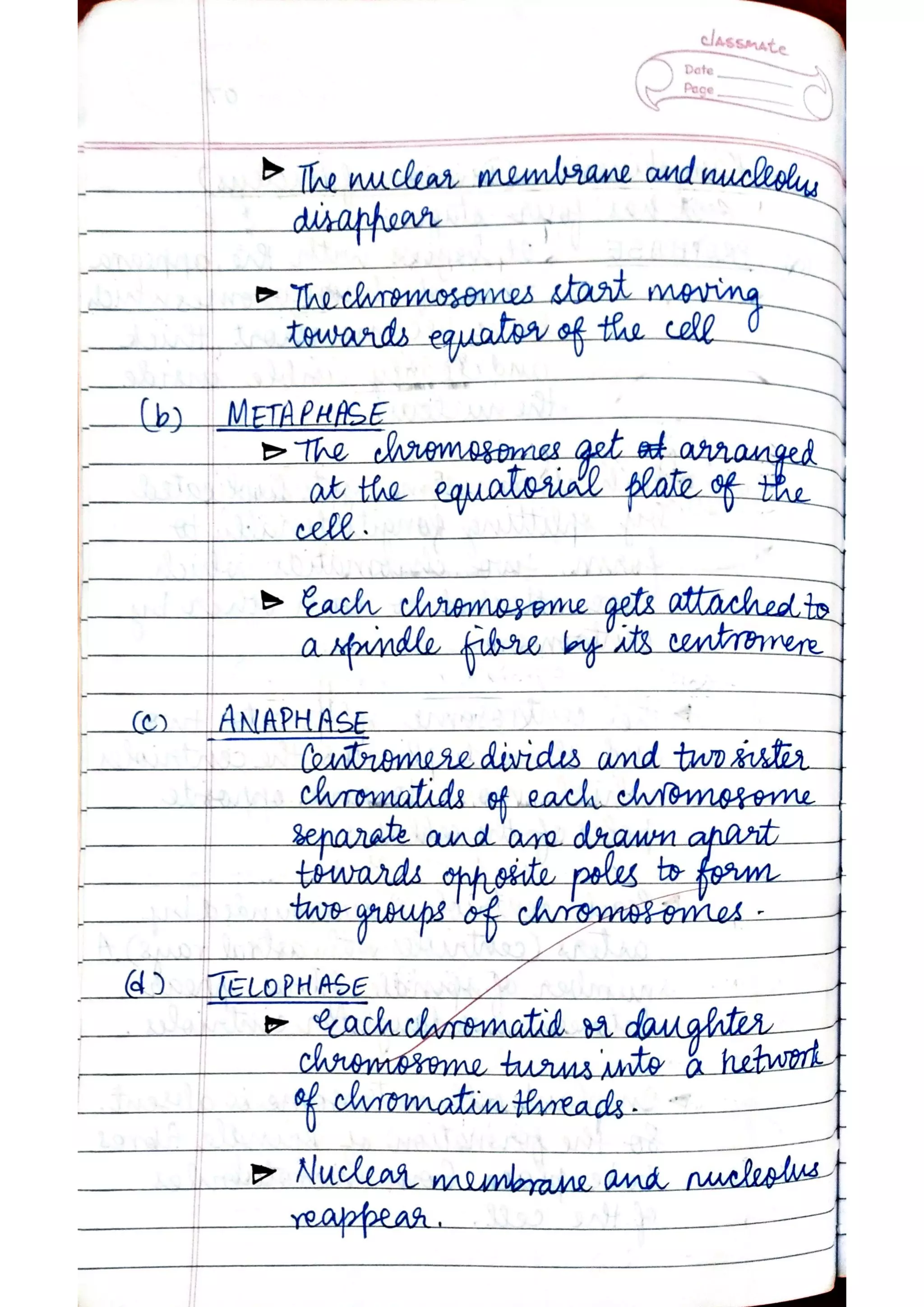 ICSE Biology Class X Handwritten Notes | PDF