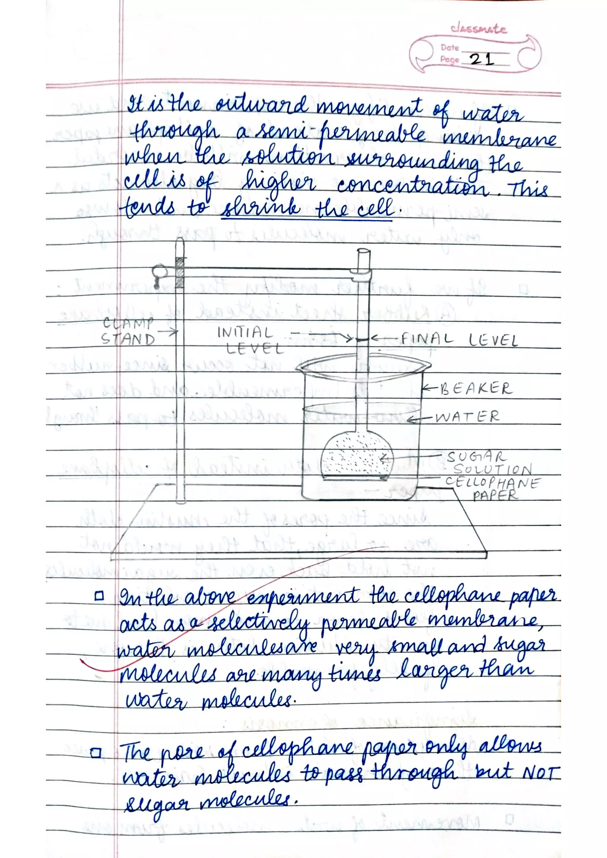 ICSE Biology Class X Handwritten Notes | PDF