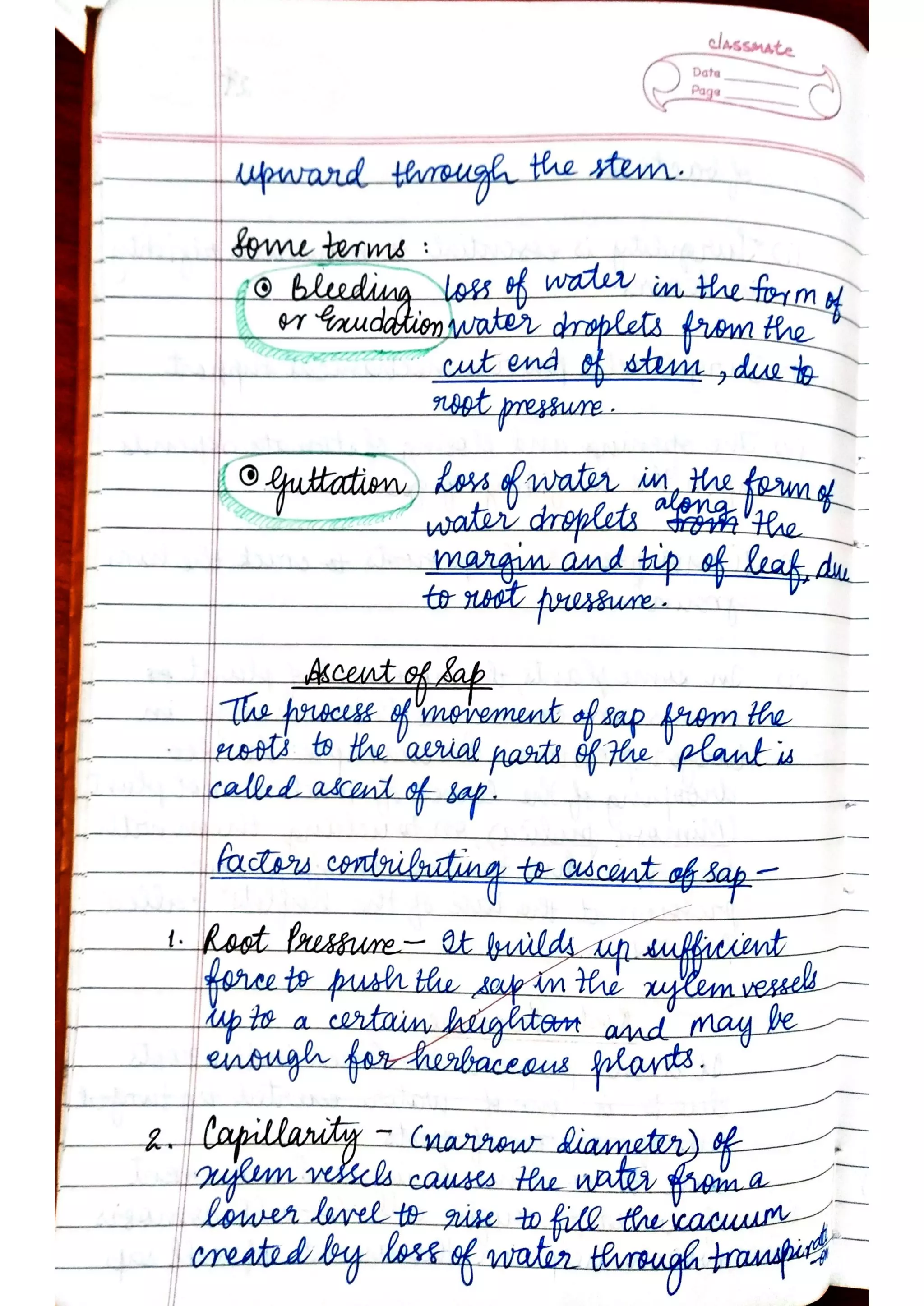 ICSE Biology Class X Handwritten Notes | PDF